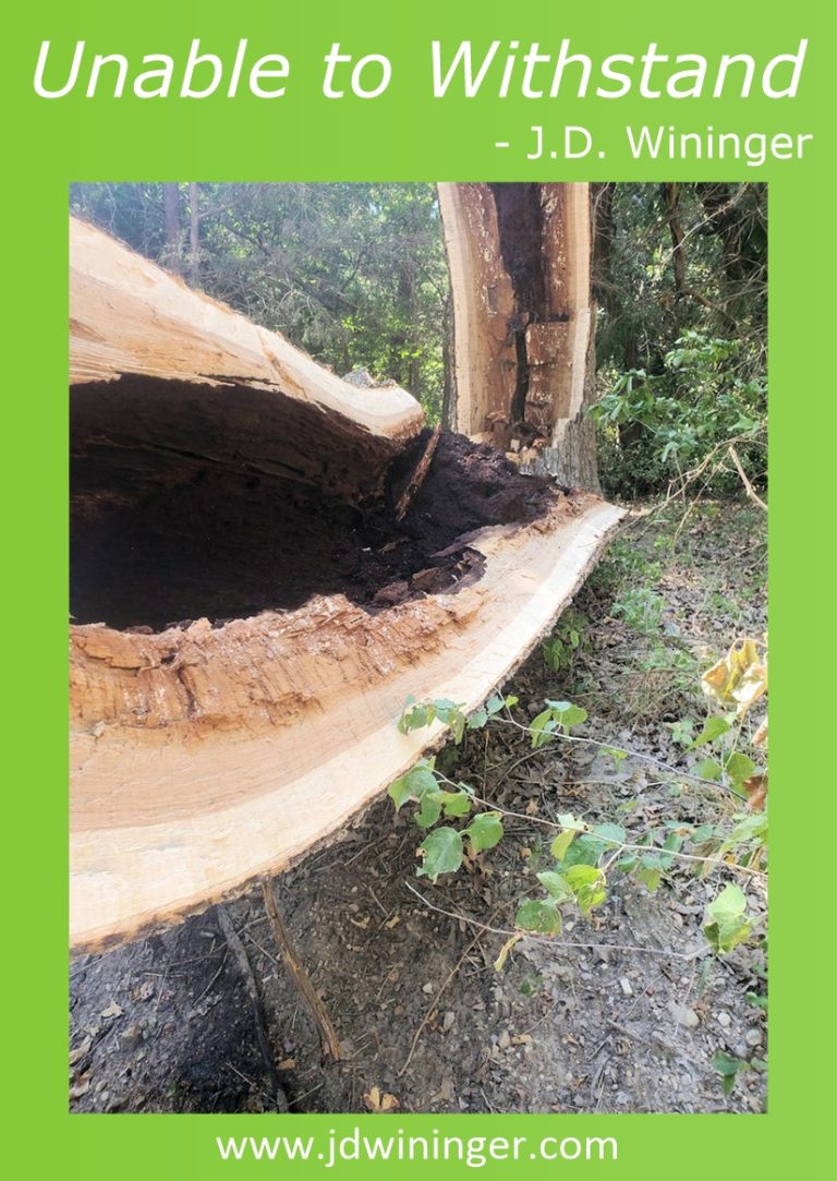 "Around the Cross-Dubya" JD's Blog - J.D. Wininger, Christian Author